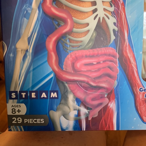 Smart Lab | Toys | Smart Lab Squishy Human Body With Removable Body ...